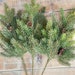 Christmas Winter White Spruce, Evergreen, Fir Stem, Bundle of 3 Stems ...