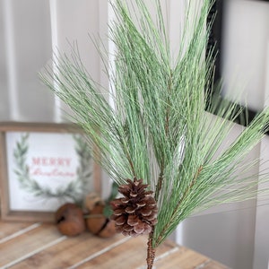 Christmas Winter Stem, Long Needle Pine Natural Pinecone, 16' Long ...