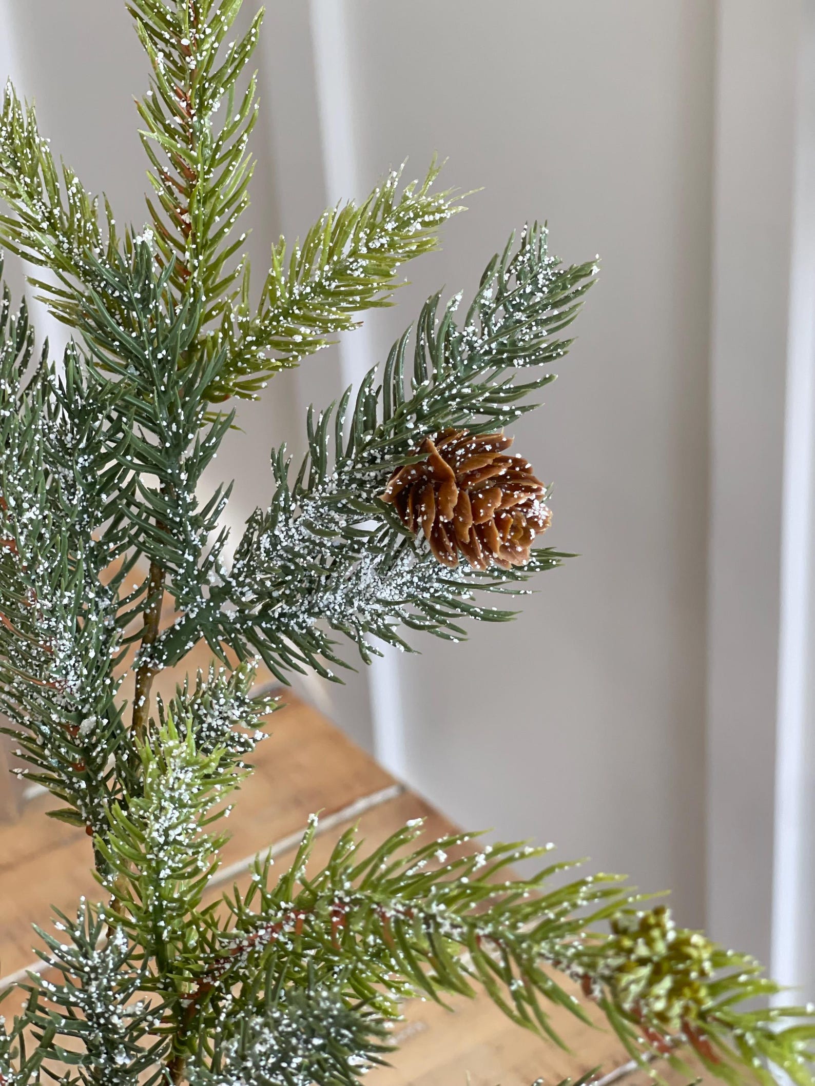 Christmas Winter Snowy White Spruce, Evergreen/ Fir Stem, a Natural ...