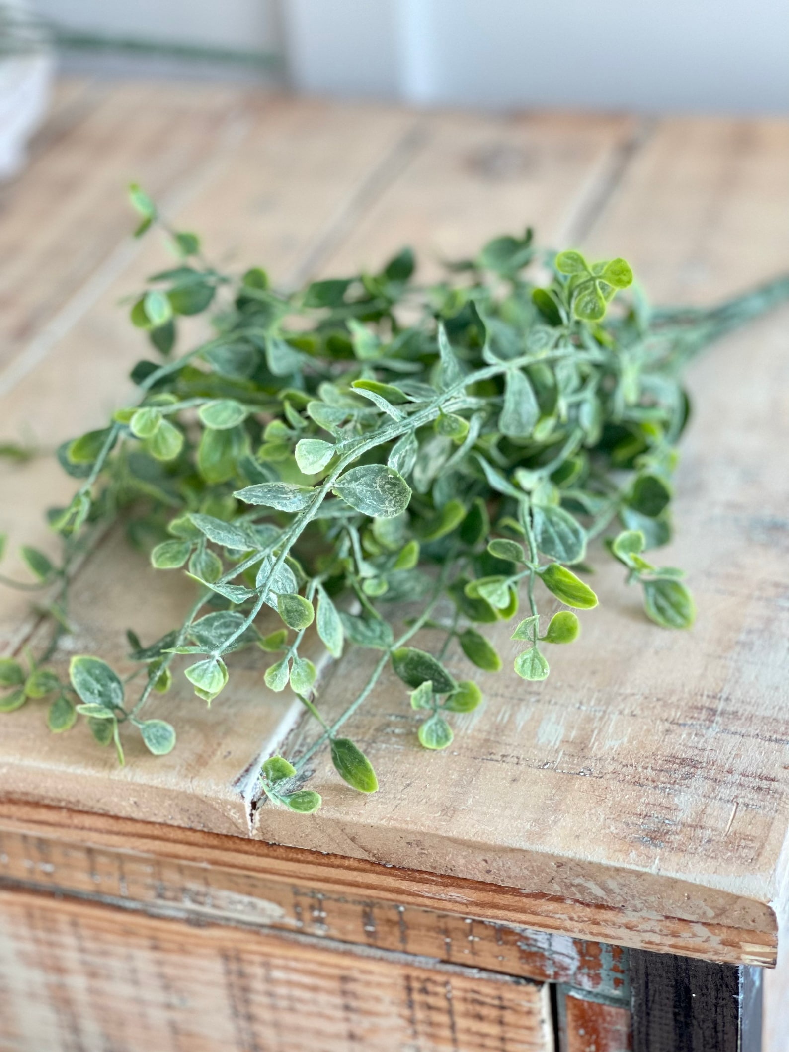 Greenery Vine Stem Seraph Vine Bush 14' Long Comes With - Etsy