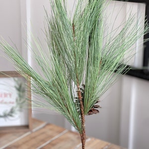 Christmas Winter Stem, Long Needle Pine Natural Pinecone, 16' Long ...