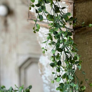 Greenery Vine Garland , Seraph Vine 6 Ft Long Greenery Garland, Plastic ...