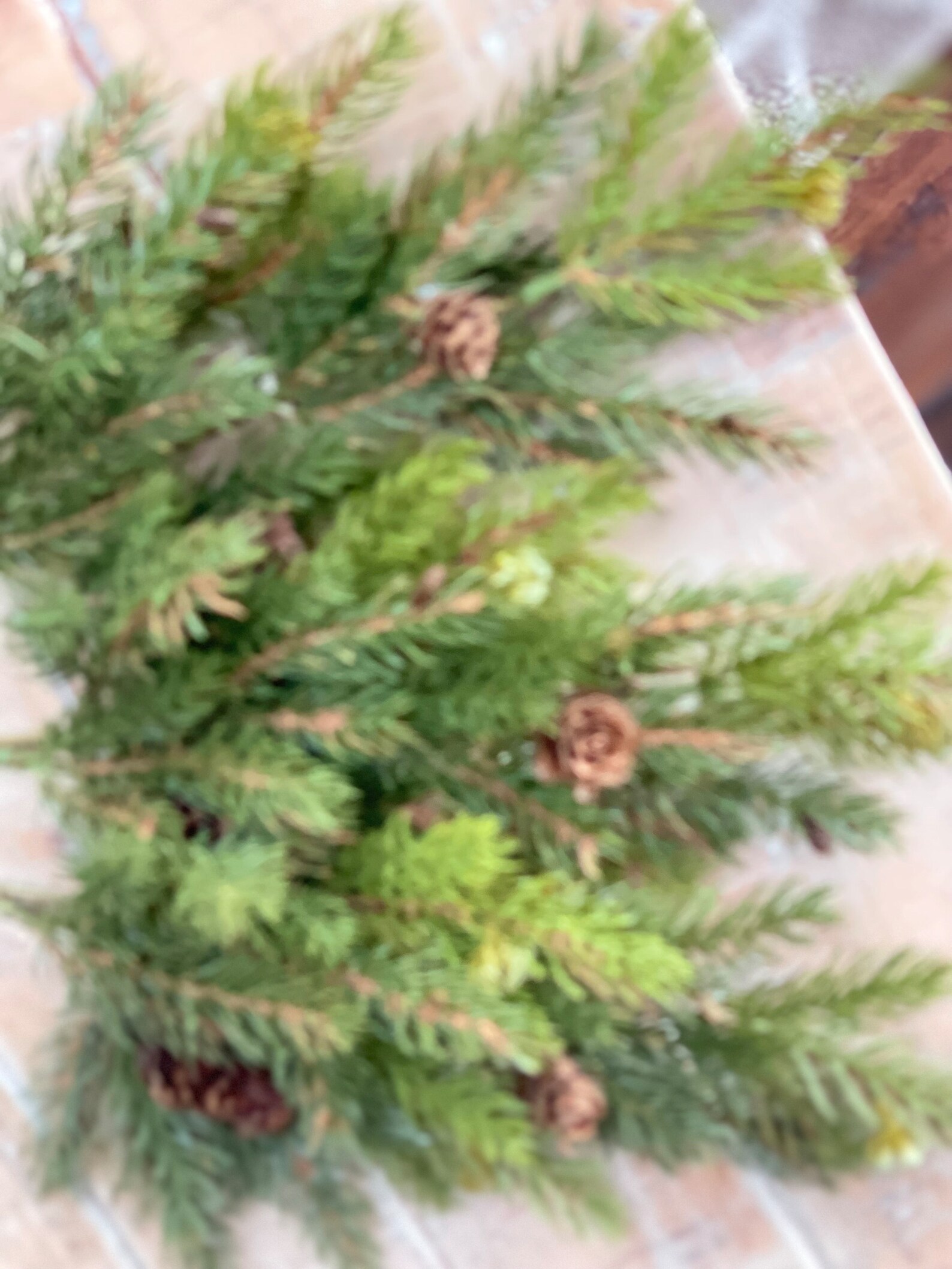 Christmas Winter White Spruce, Evergreen, Fir Stem, Bundle of 3 Stems ...