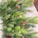 Christmas Winter White Spruce, Evergreen, Fir Stem, Bundle of 3 Stems ...