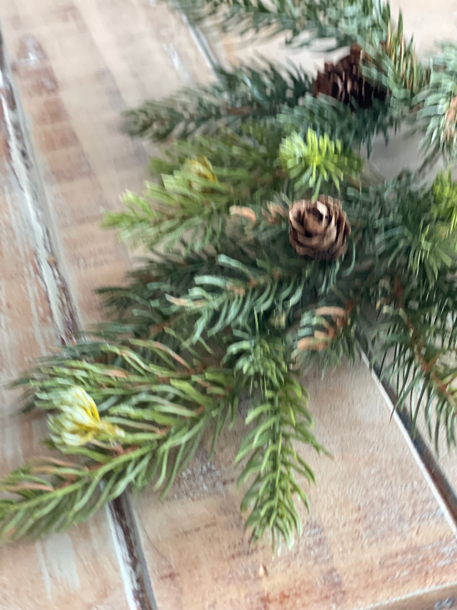 Christmas Winter White Spruce, Evergreen, Fir Stem, Bundle of 3 Stems ...