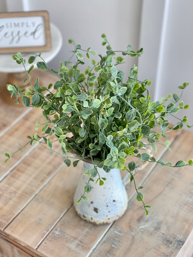 Greenery Vine Stem Seraph Vine Bush 14' Long Comes With - Etsy