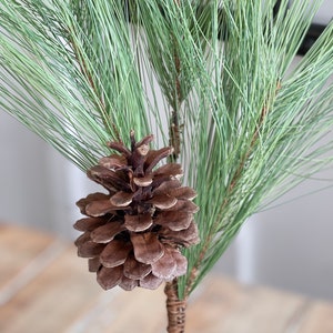Christmas Winter Stem, Long Needle Pine Natural Pinecone, 16' Long ...