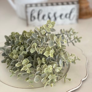 Farmhouse Eucalyptus 14' Long, Bush Stlye,7 Branches Attached to Stems ...