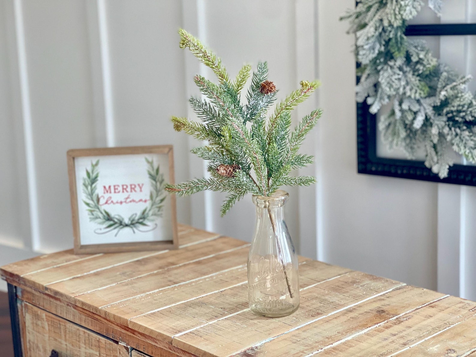 Christmas Winter Snowy White Spruce, Evergreen/ Fir Stem, a Natural ...