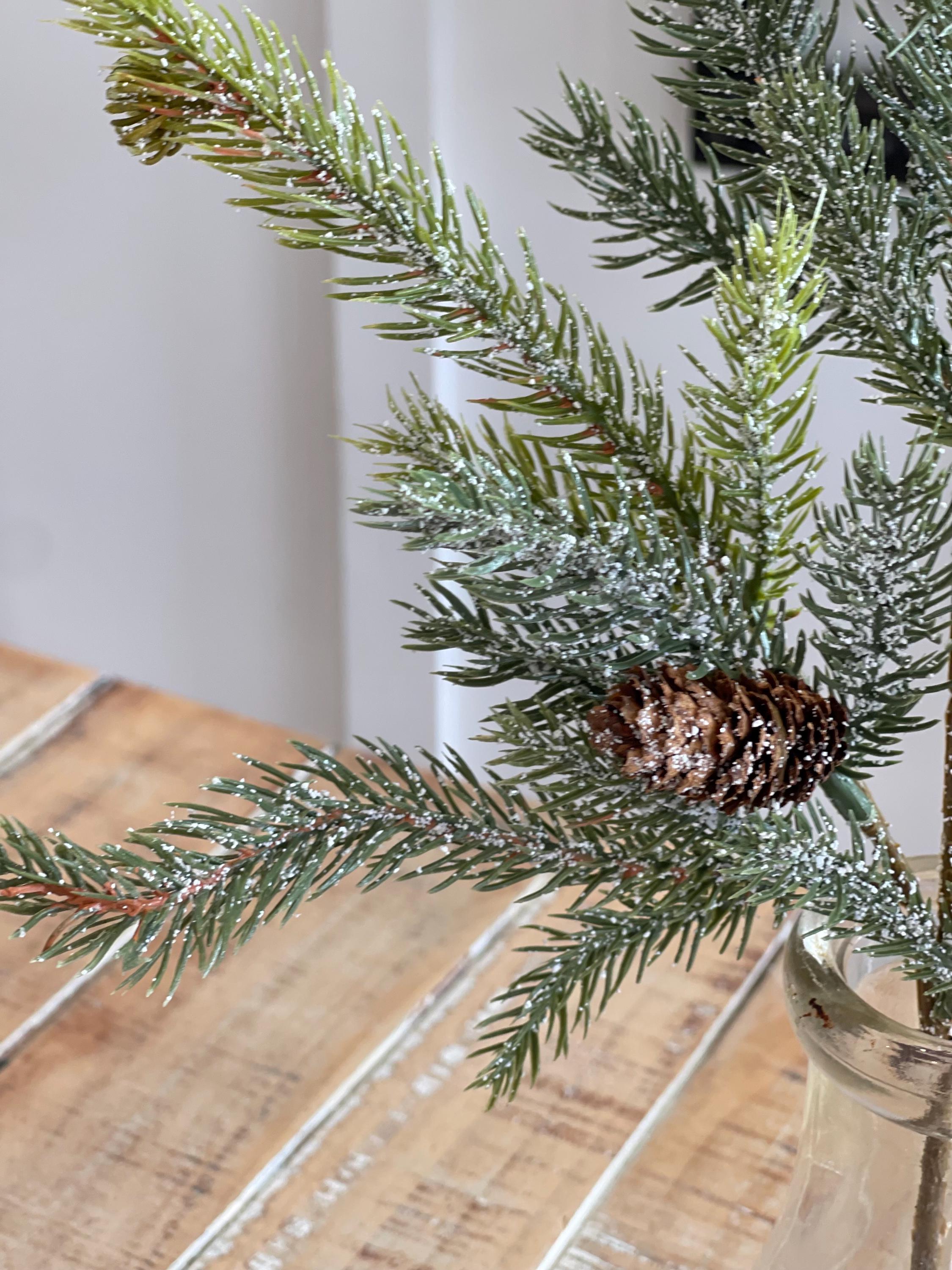 Christmas Winter Snowy White Spruce, Evergreen/ Fir Stem, a Natural ...
