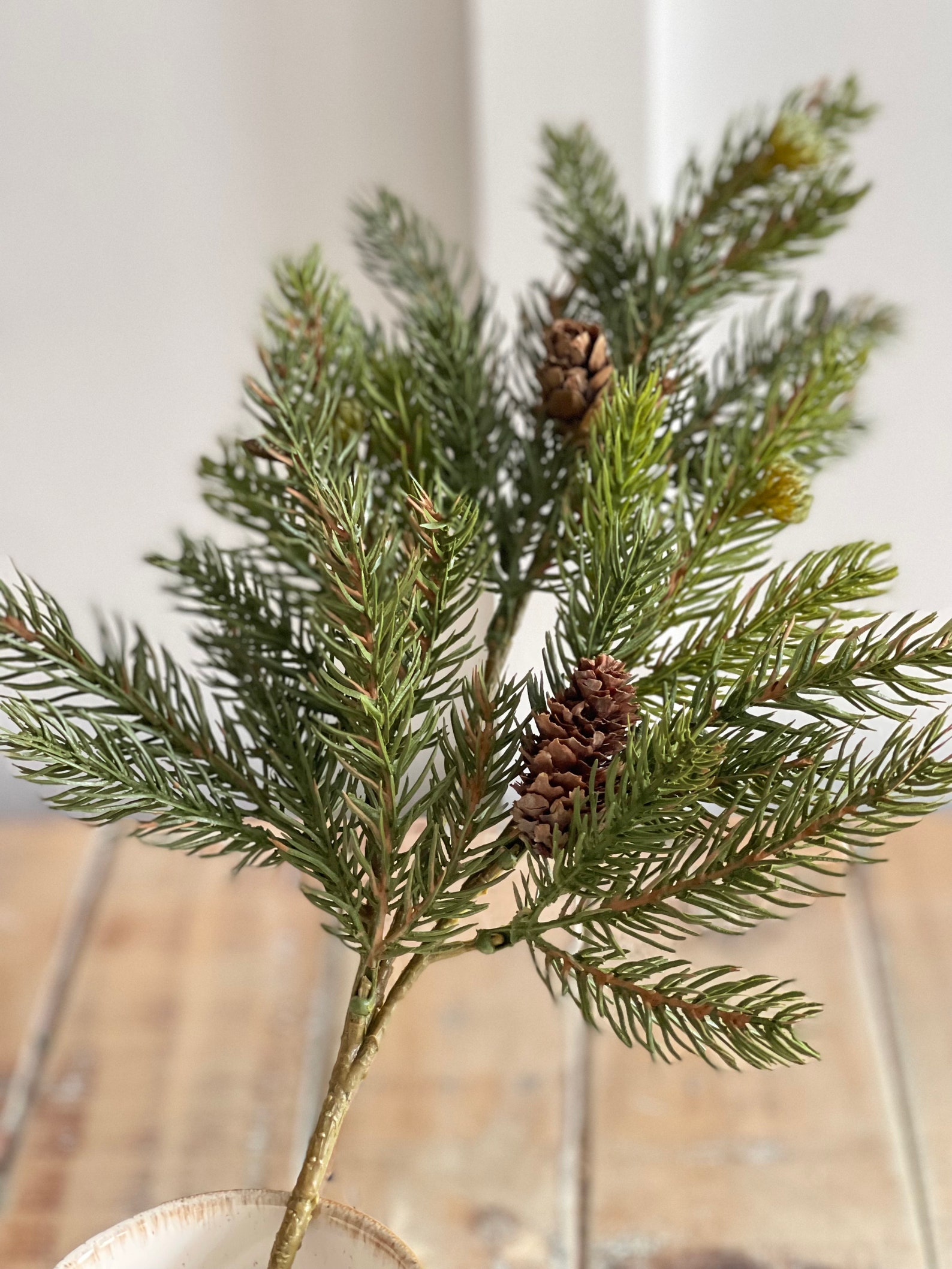 Christmas Winter White Spruce, Evergreen, Fir Stem, Bundle of 3 Stems ...
