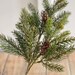 Christmas Winter White Spruce, Evergreen, Fir Stem, Bundle of 3 Stems ...