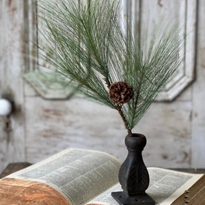 Christmas Winter Stem, Long Needle Pine Natural Pinecone, 16' Long ...