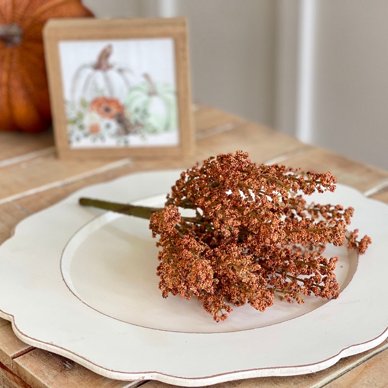 Real Pumpkin Stems - Etsy