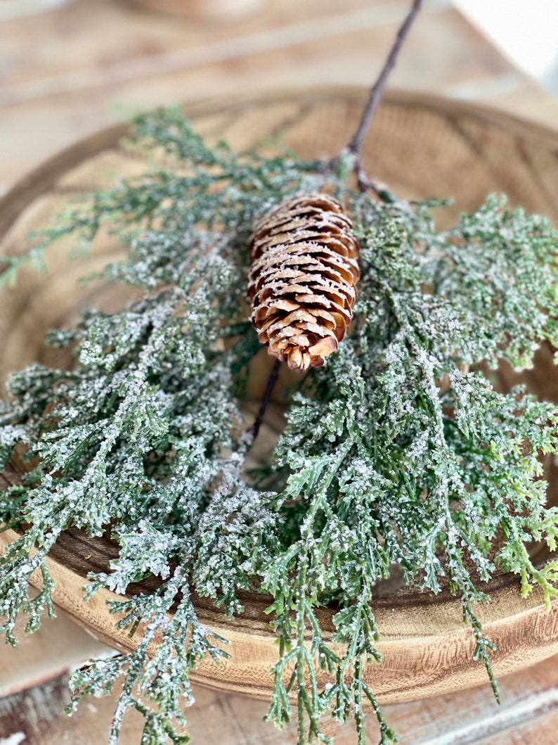Christmas Winter Cedar Stem, Silver Snowy Structural Cedar , a Natural ...