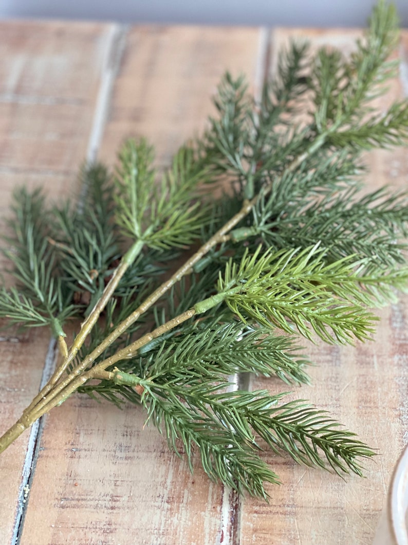 Christmas Winter White Spruce, Evergreen, Fir Stem, Bundle of 3 Stems ...