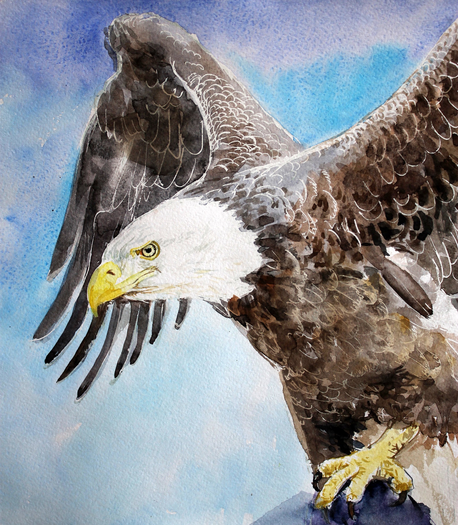 Bald Eagle painting Original watercolor artwork Eagle art Bird | Etsy