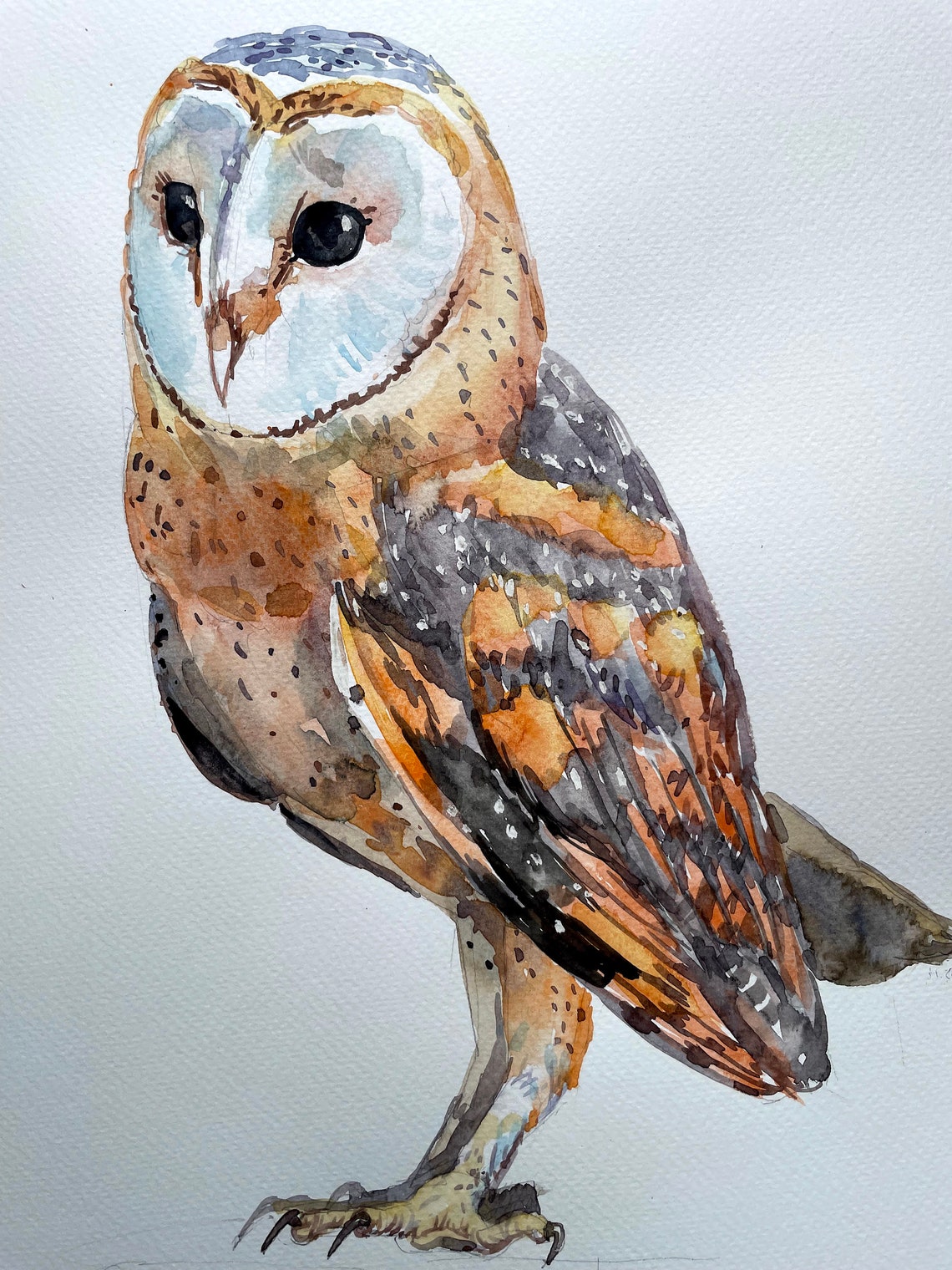 Original Bird Art Barn Owl Watercolor Painting Original Wall - Etsy