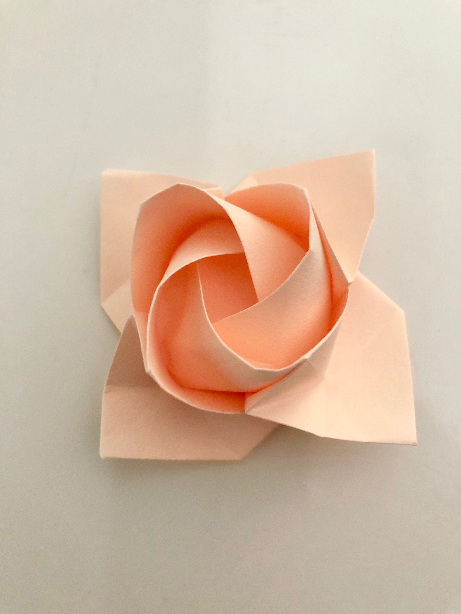 12 Origami Red Roses | Etsy