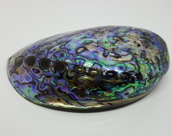 Abalone shell | Etsy