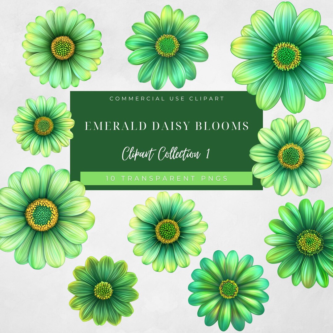 Realistic Emerald Green Daisy Clipart, High-resolution Digital Floral ...