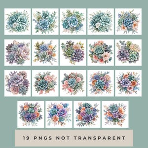 Watercolor Succulent Clipart Bundle, Succulent PNG, Boho Wedding Decor ...