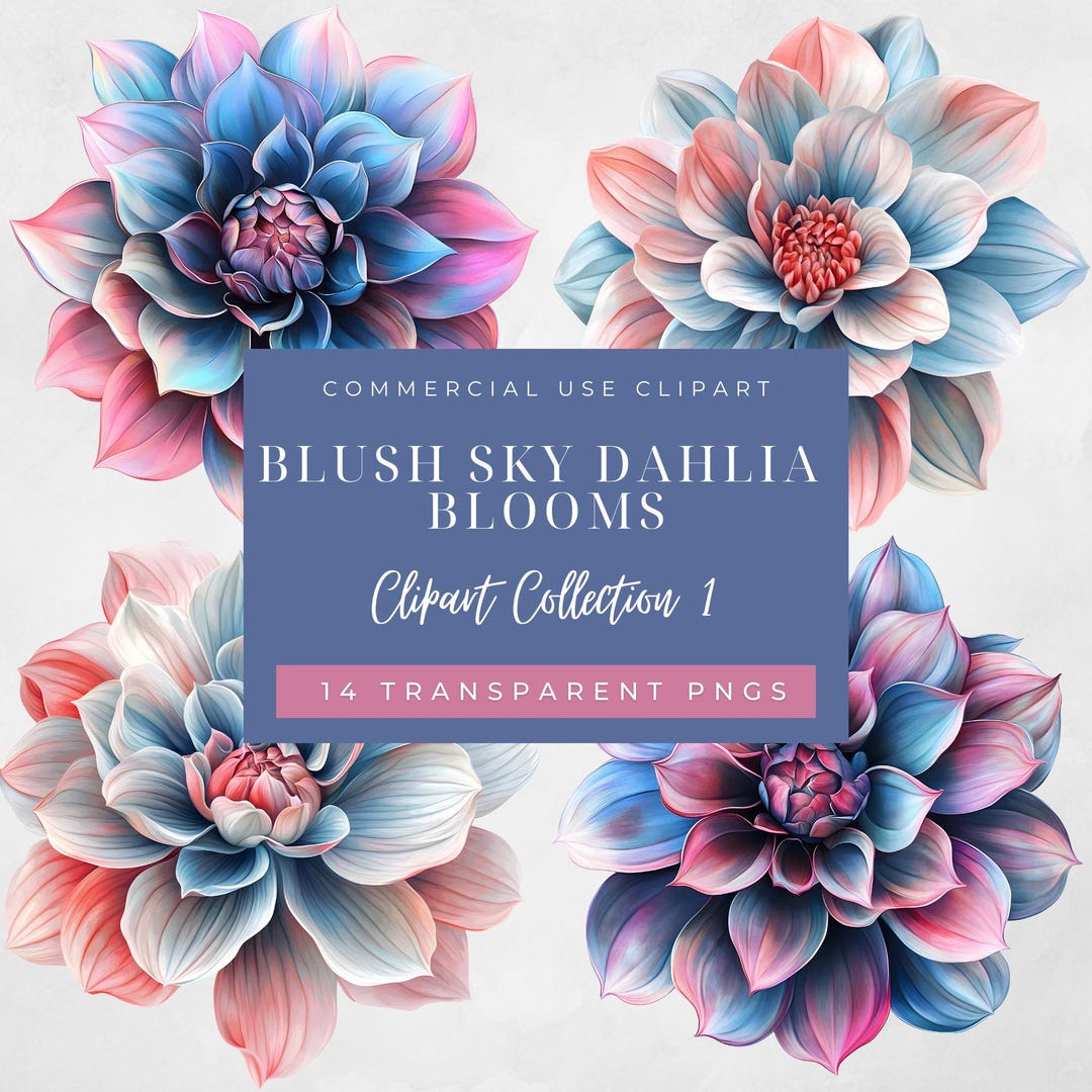 Dahlia Flowers Watercolor Clipart, Pink Blue Floral Bundle, Summer ...