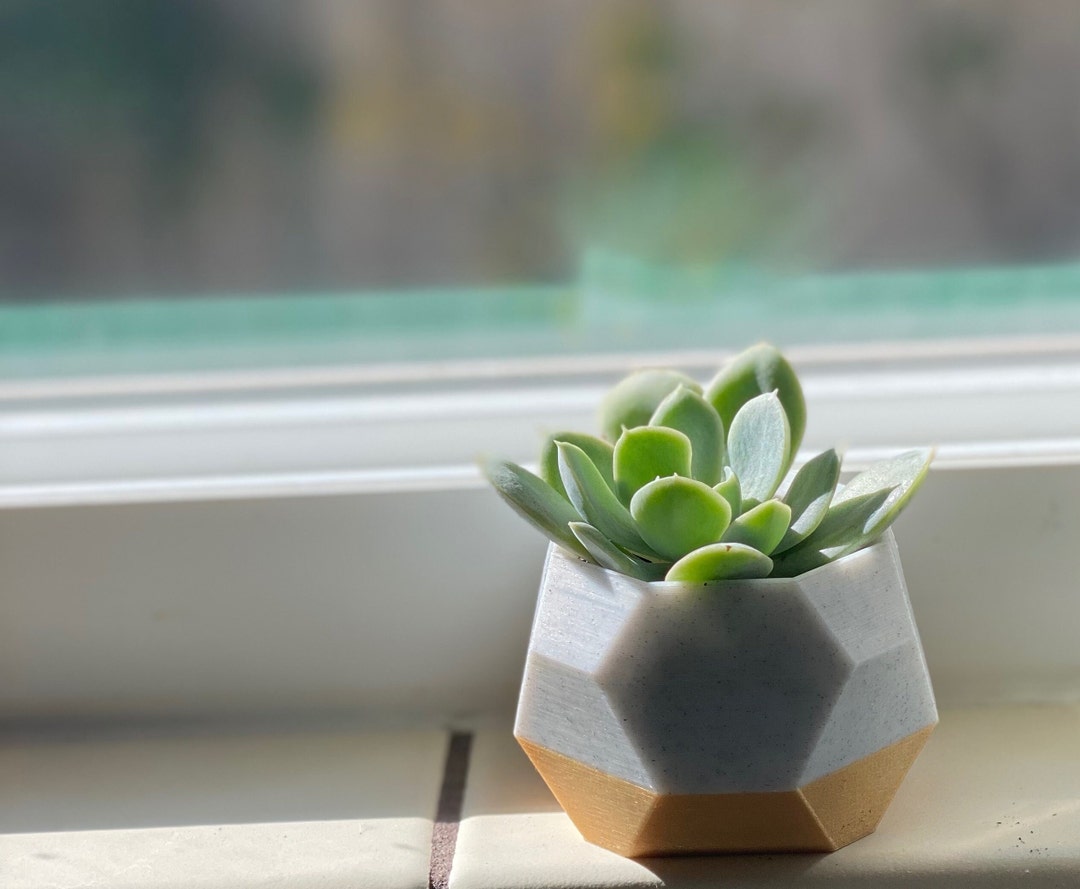 Two-tone Marble Succulent Planter: Modern 3D Printed Home Decor - Etsy