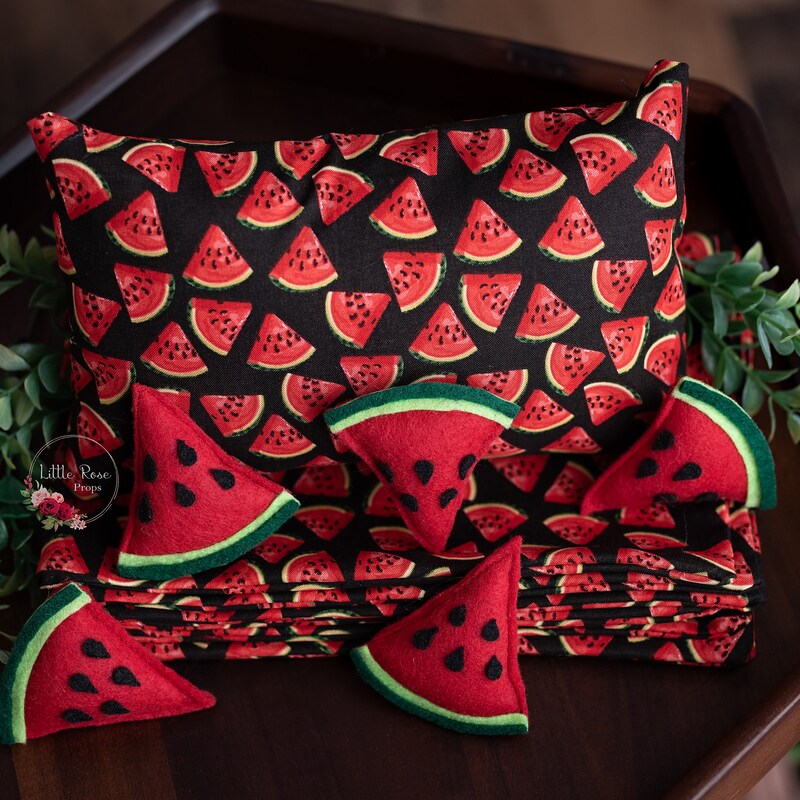 Watermelon Pillows - Etsy