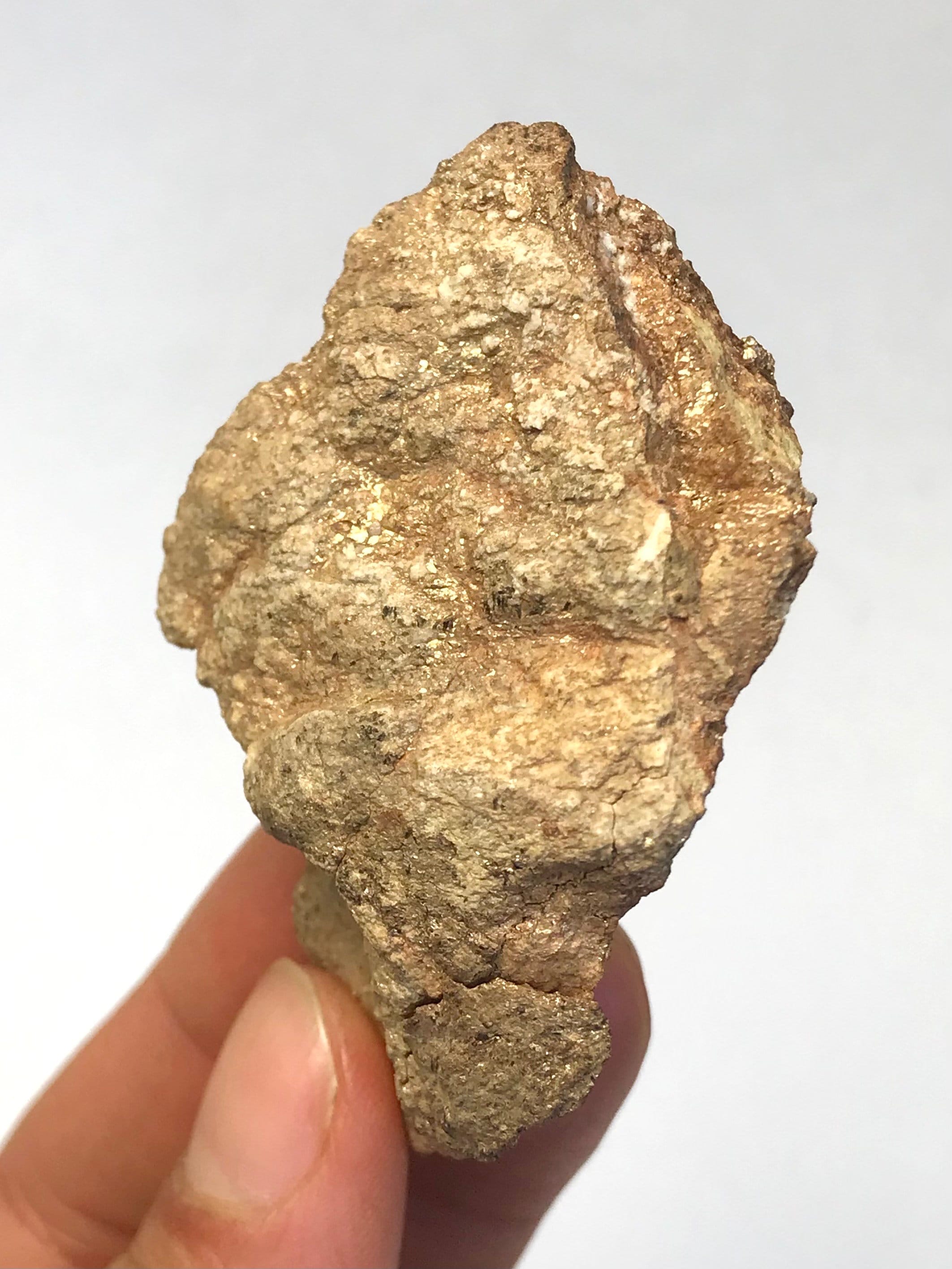 Roasted Gold Ore - Etsy