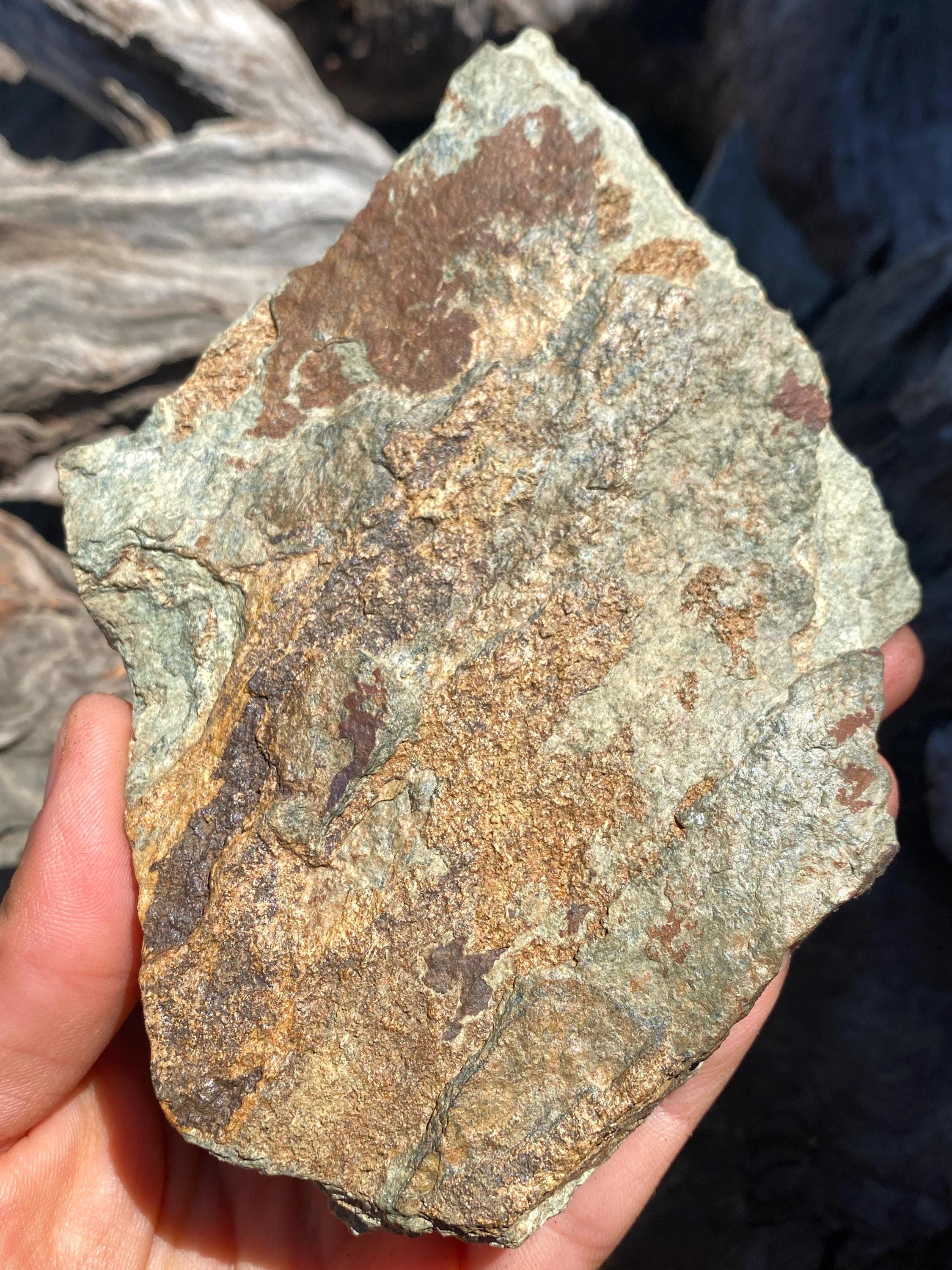 Sedimentary Style Ore, With Native Gold Patina - Etsy