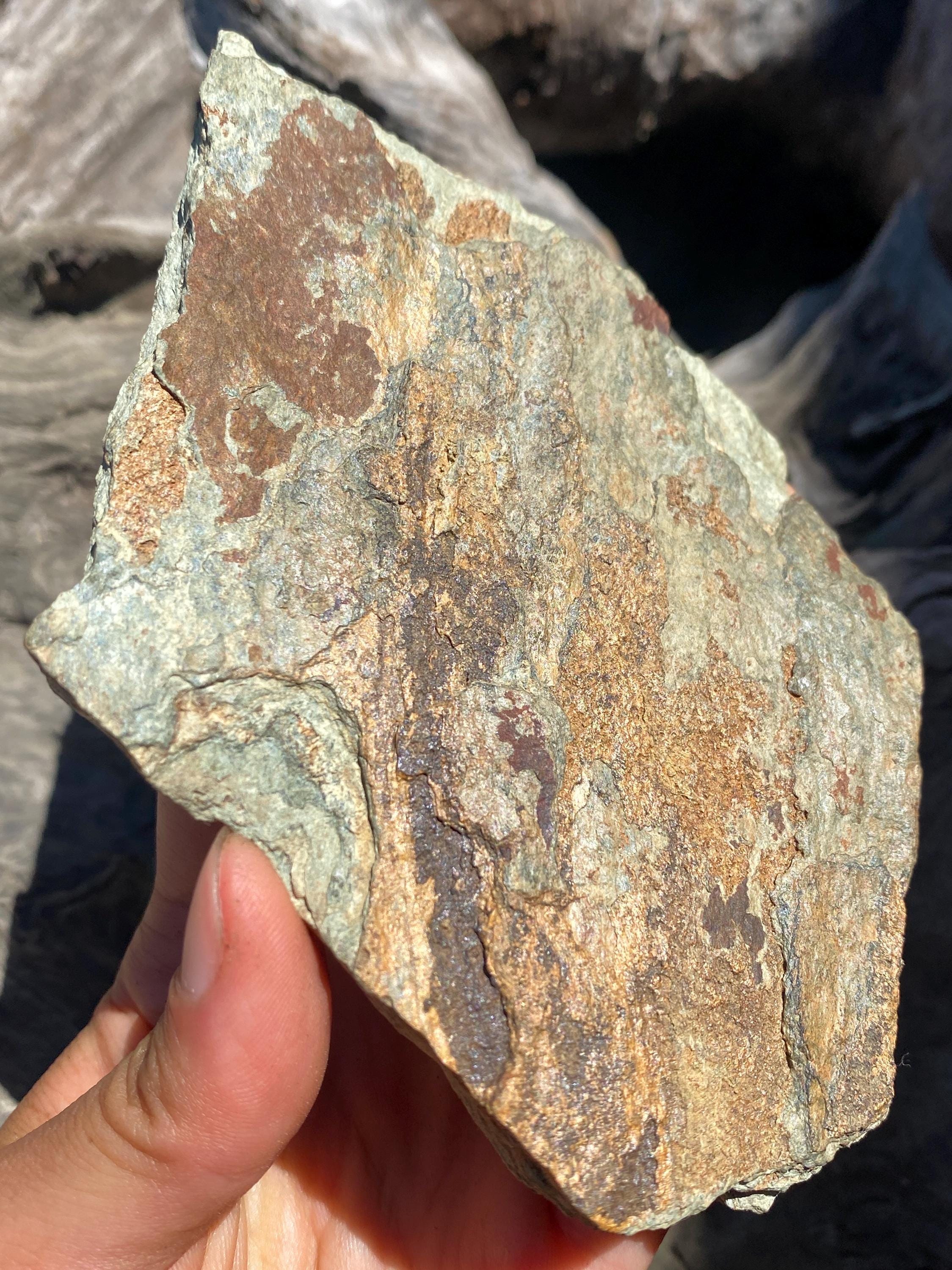 Sedimentary Style Ore, With Native Gold Patina - Etsy