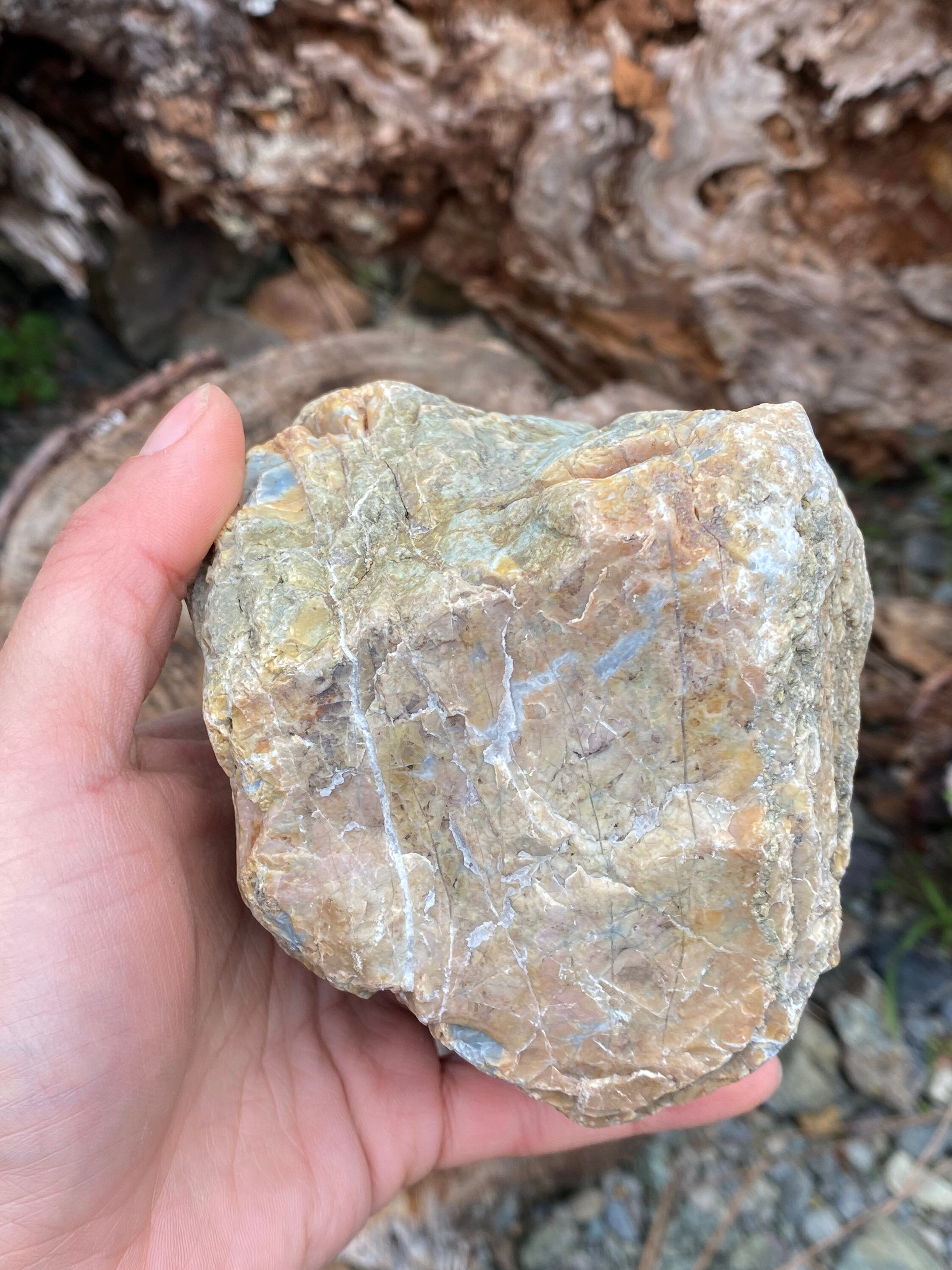 Blue Beryl With Orange Rind - Etsy