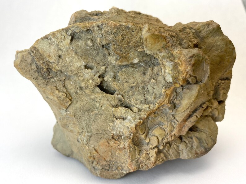 Golden Limonite With Quartz - Etsy