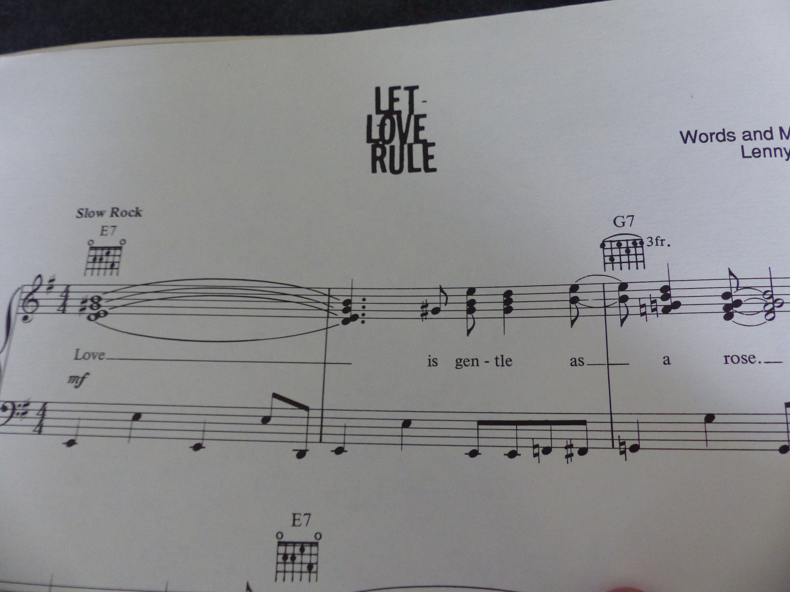 1990 LET LOVE RULE Lenny Kravitz Cancionero de - Etsy España