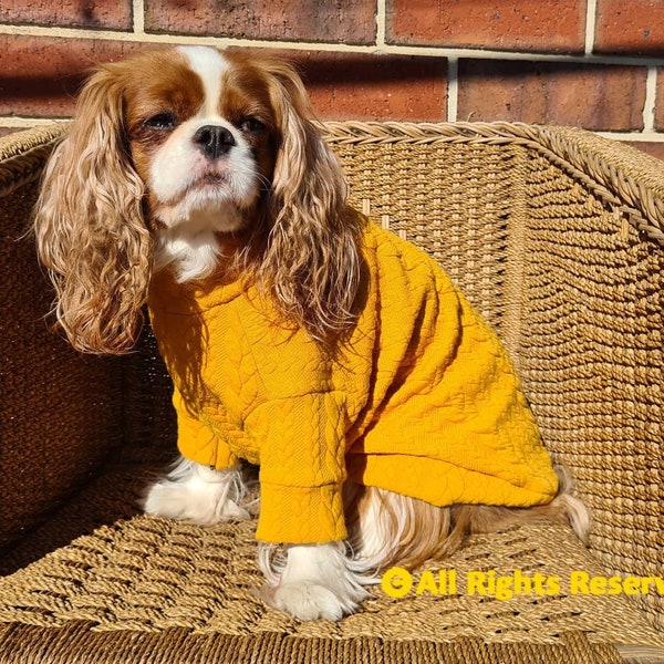 Custom Jumper With Dog - Etsy