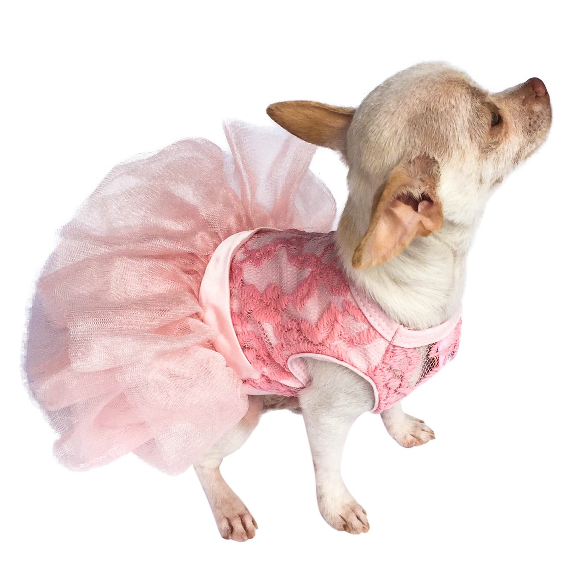 Fufu Tutu Lace Pet Dress |dress for Dogs | Trendy Dress for Dogs ...