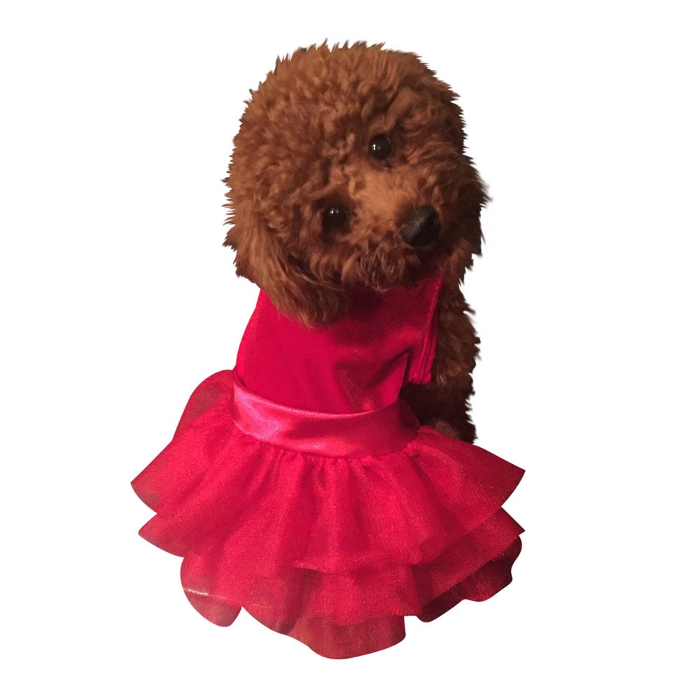 Holiday Party Dog Tutu Dress / Vestido para perros / Vestido - Etsy España