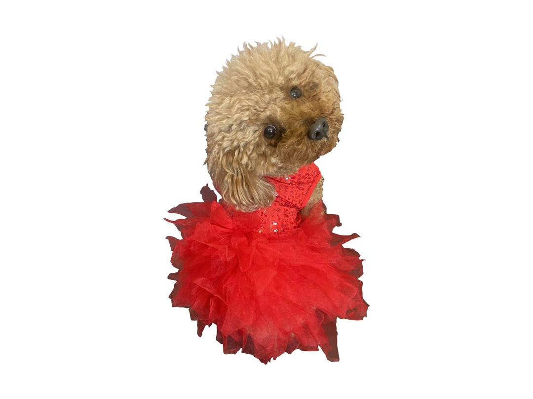 Grand Entrance Allover Sequins Tutu | Trendy Dress for Dogs | Party ...