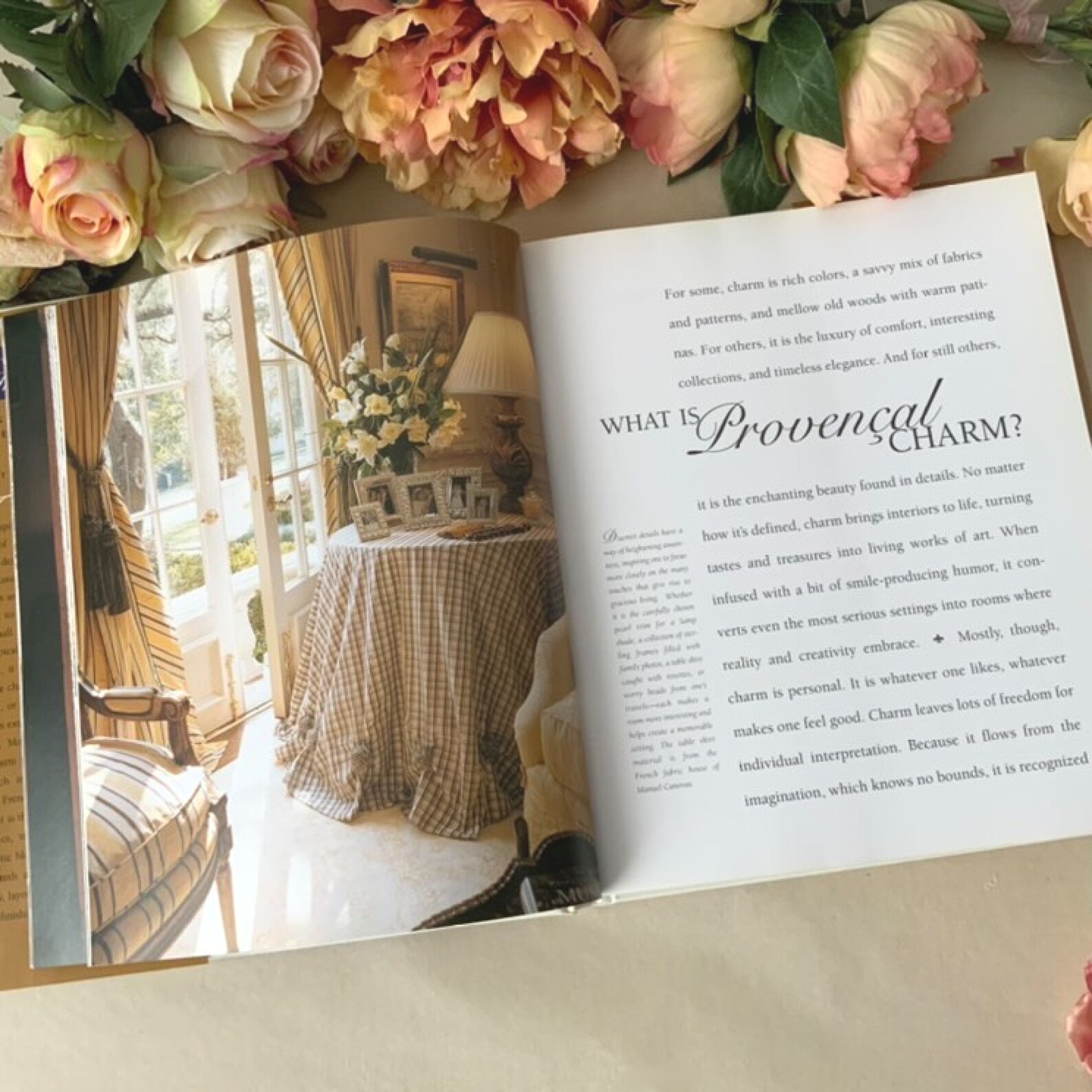 Vintage Provençal Interiors, French Interiors in America Book by Betty ...