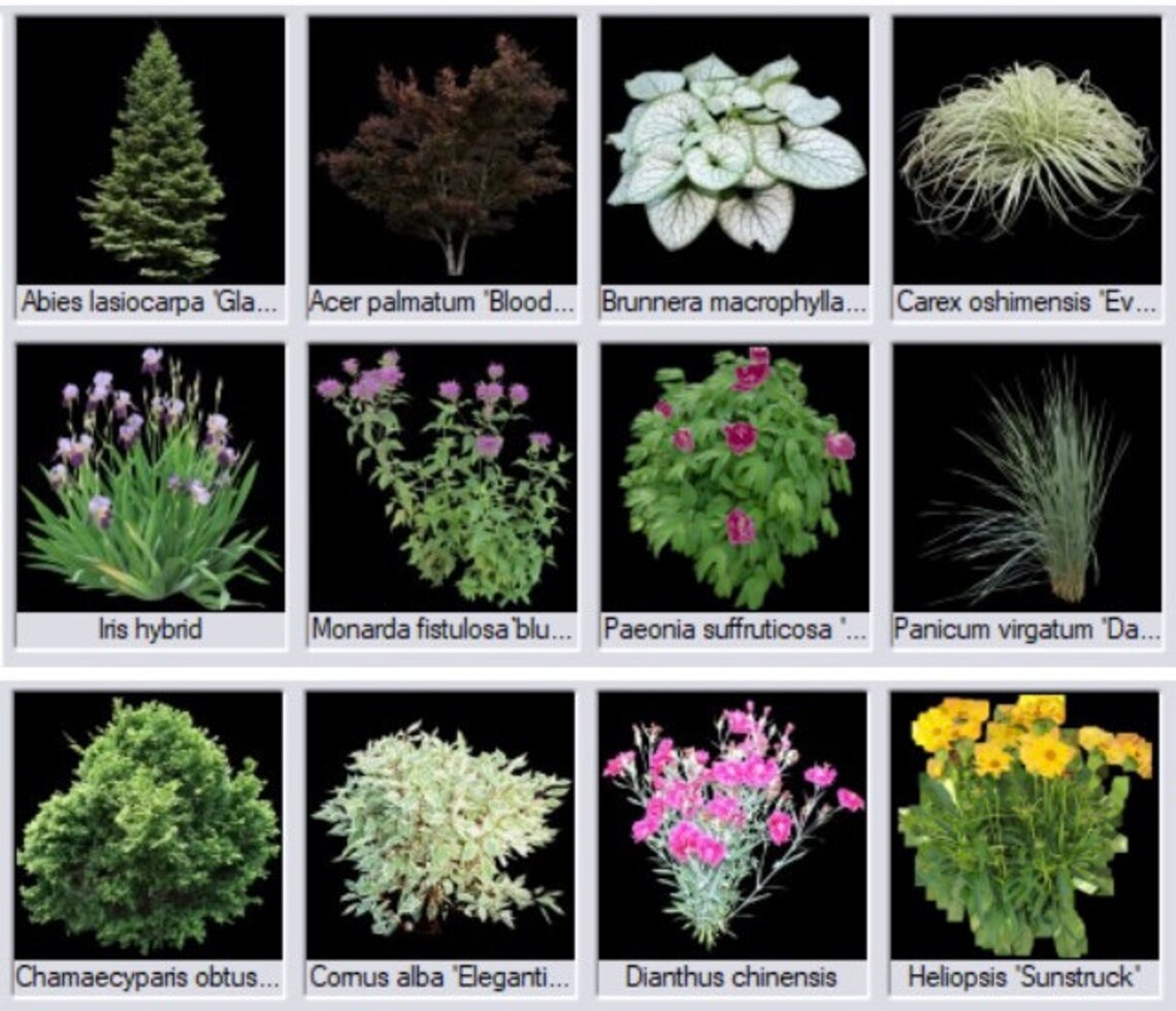 Landscape Design in 2D - Etsy