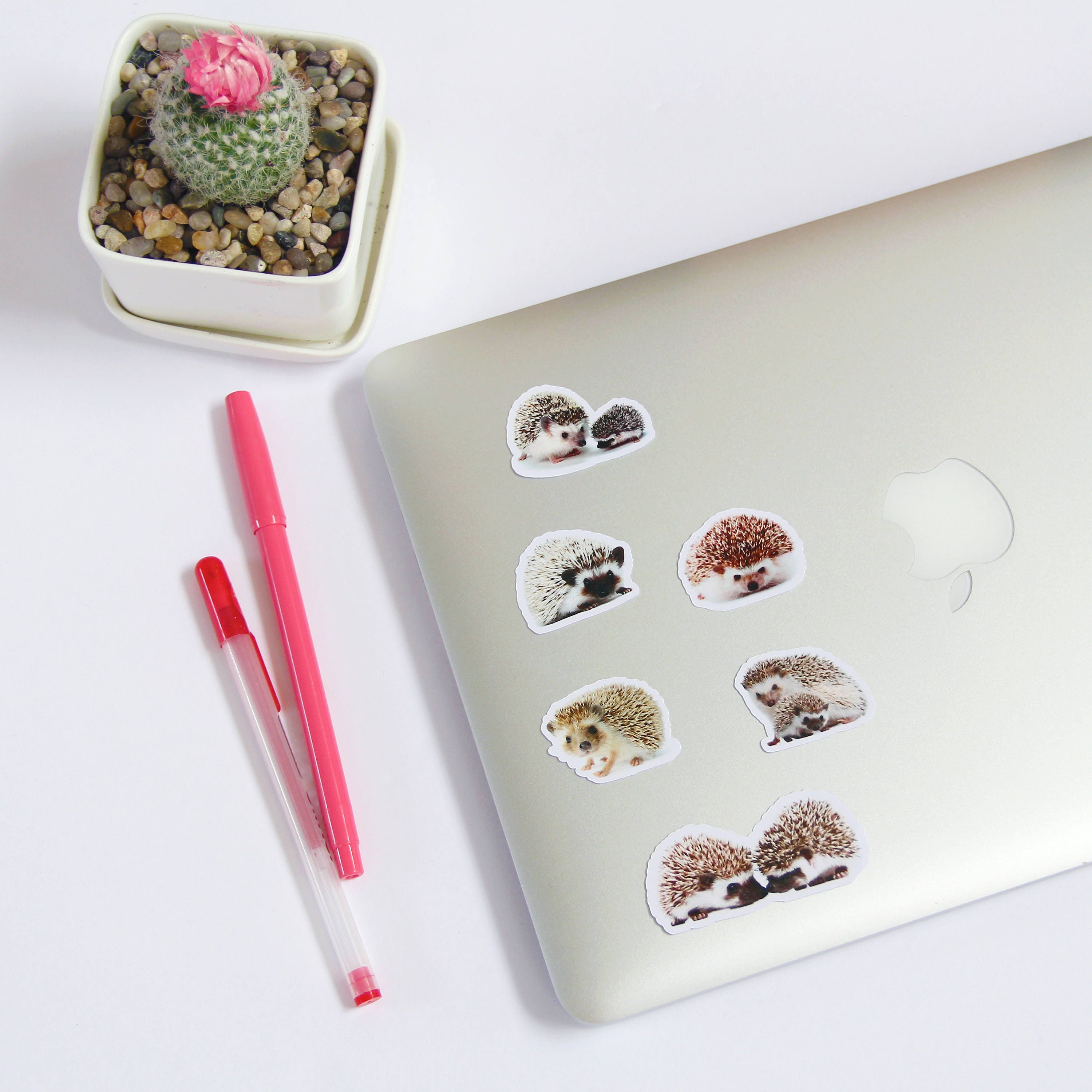 Tumblr Laptop Stickers