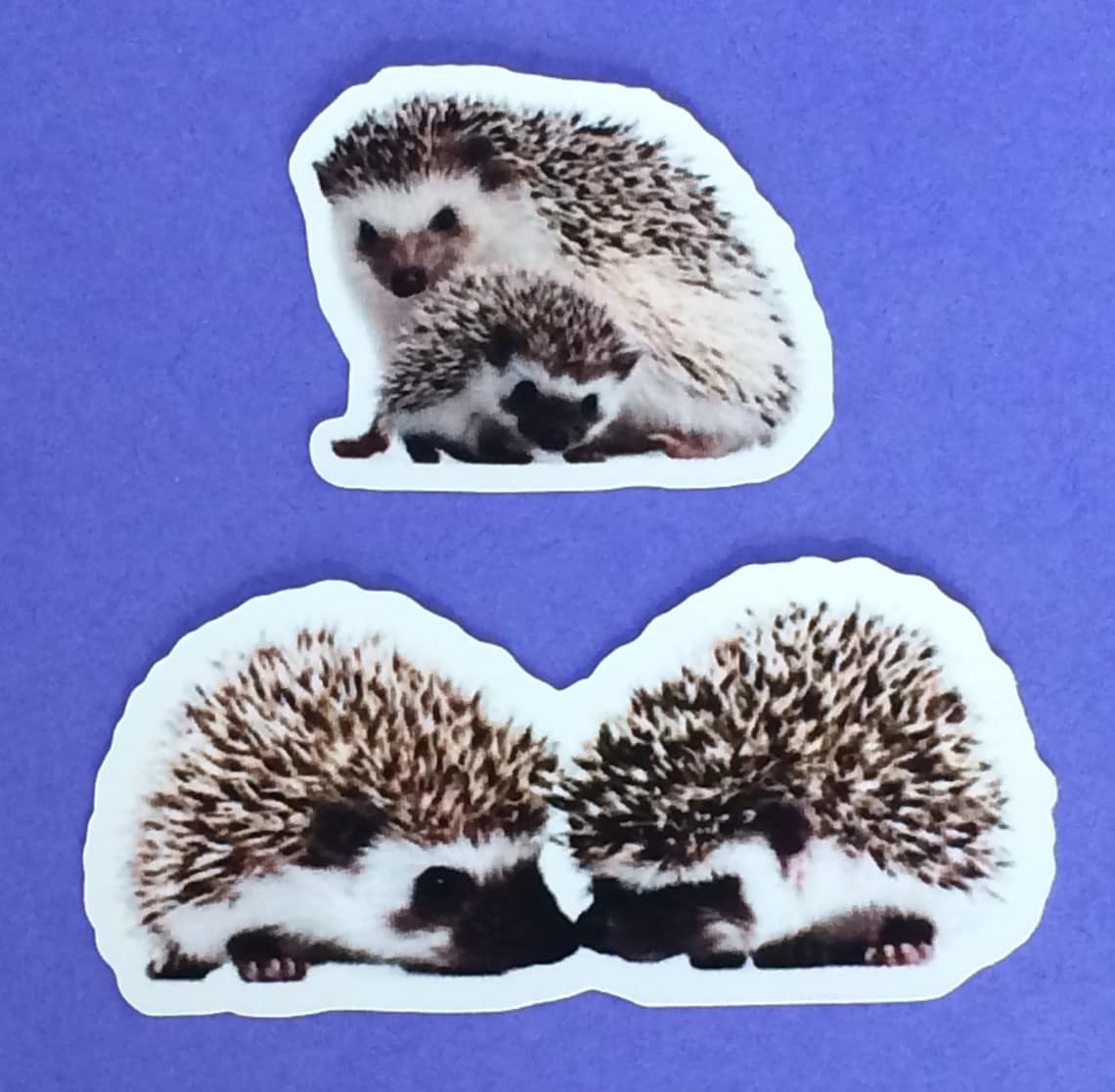 Cute Hedgehog Sticker Set pack of 6 Kawaii Stickers Tumblr - Etsy UK