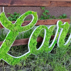 Custom Wall Moss Letters. Preserved Natural Plant Art Decor. Custom ...