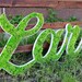 Custom Wall Moss Letters. Preserved Natural Plant Art Decor. Custom ...