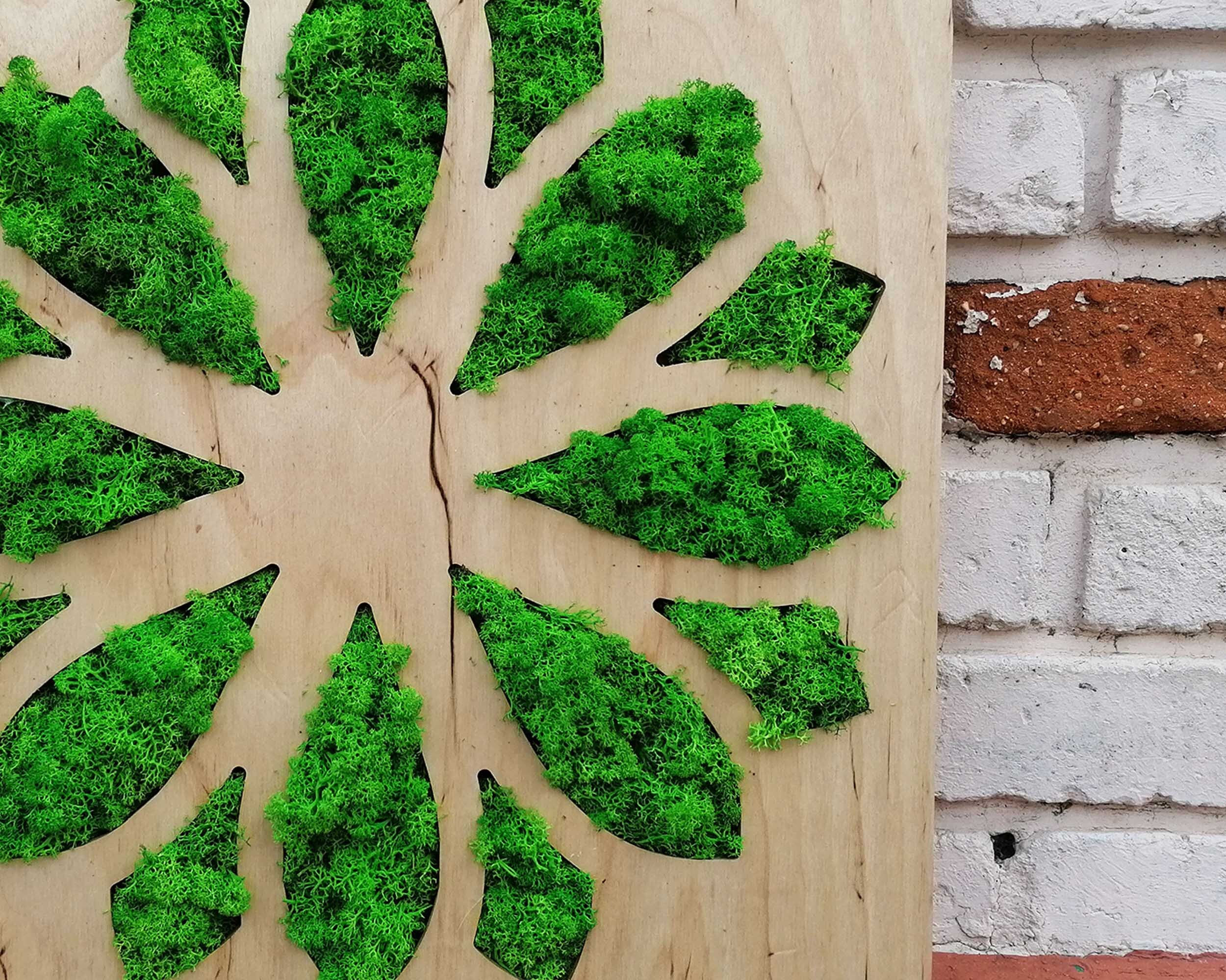 Flower Power Moss Art. Moss Decorations. Home Office Decor. - Etsy