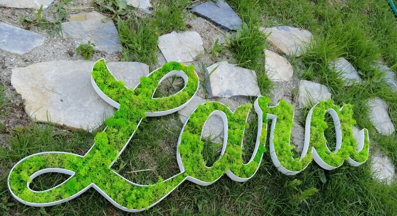 Custom Wall Moss Letters. Preserved Natural Plant Art decor. | Etsy