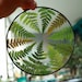 Round Stained Glass Mirror With Pressed Fern, Circle Wall Accent Mirror ...