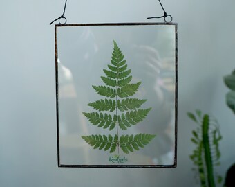 Dried Fern Plant in Stained Glass Frame Pressed Leaves Wall | Etsy