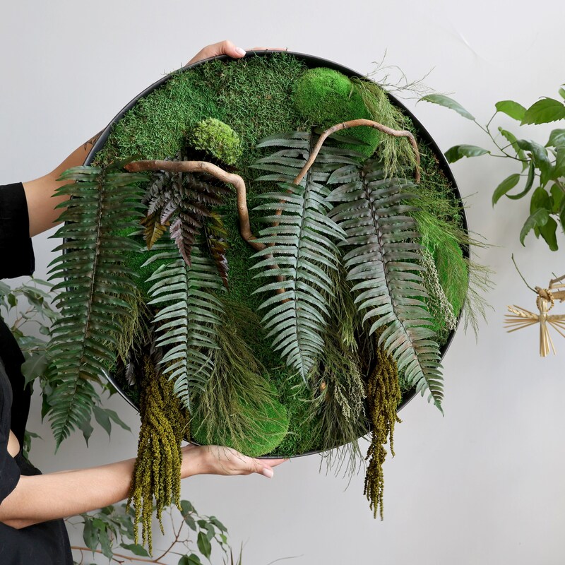 Preserved Plants - Etsy